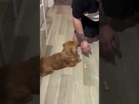 babamın gülüşü ve annemin konuşması