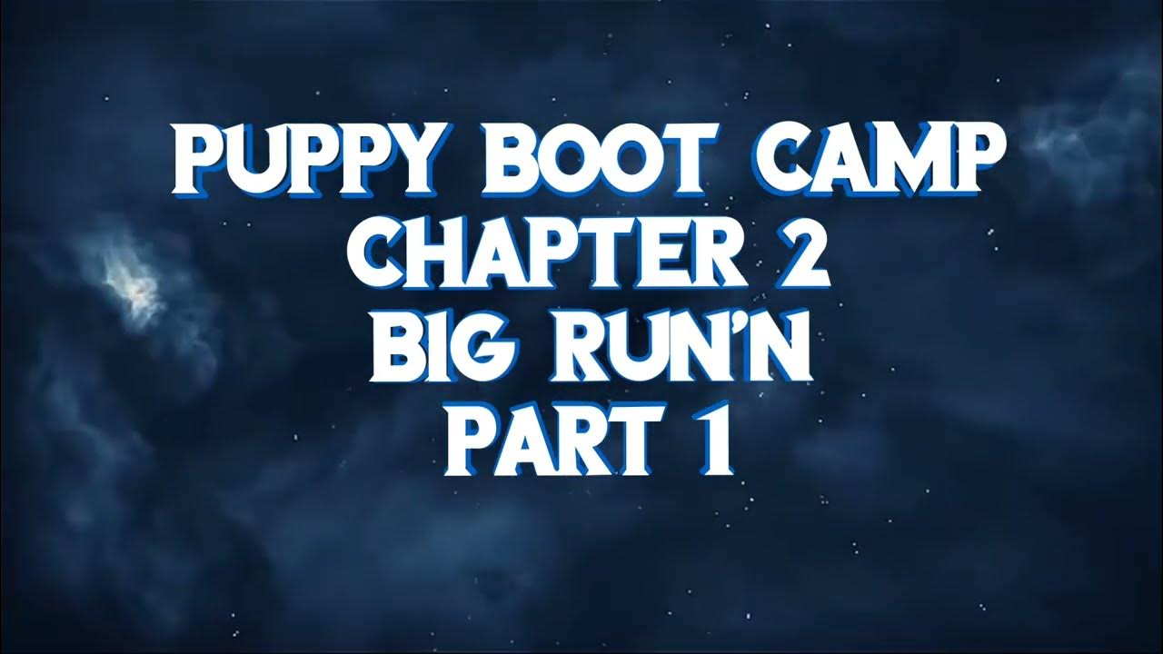 Puppy Boot Camp Chapter 2 Part 1 Big Run'n #gopro #rabbithuntingwithbeagles #rabbithunt # ...