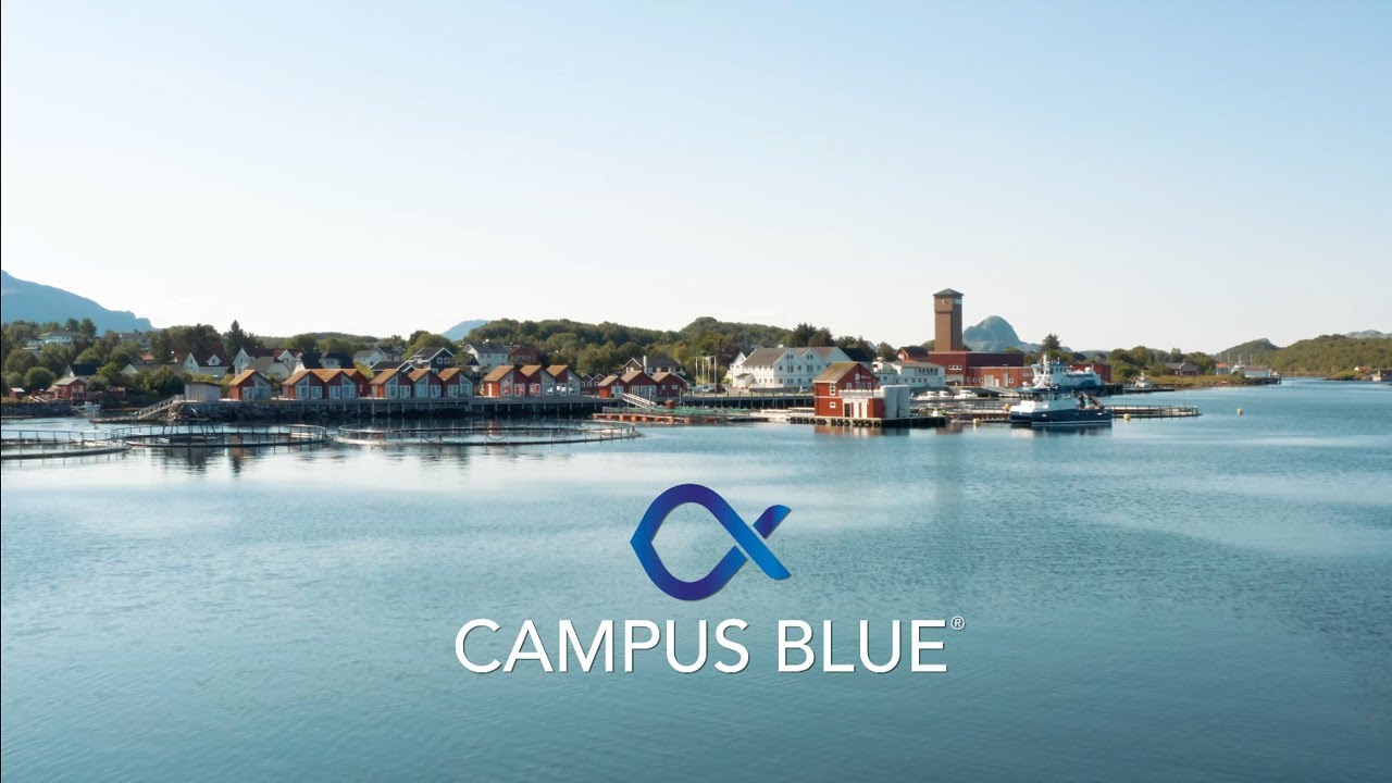 Campus BLUE - Excellence in BLUE Education - YouTube