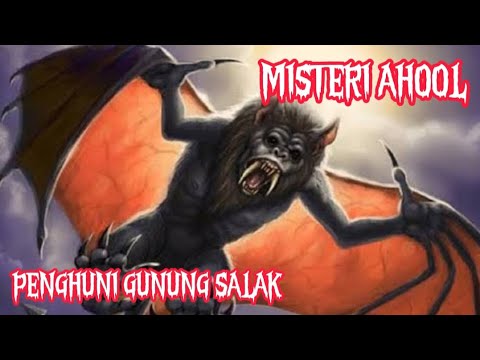 Mengungkap Misteri Ahool, Kelelawar Raksasa Penghuni Gunung Salak - YouTube