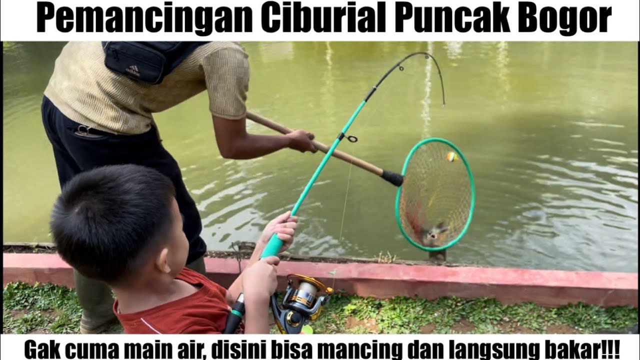 Pemancingan Ciburial Puncak Bogor - pemancingan wisata mata air ...