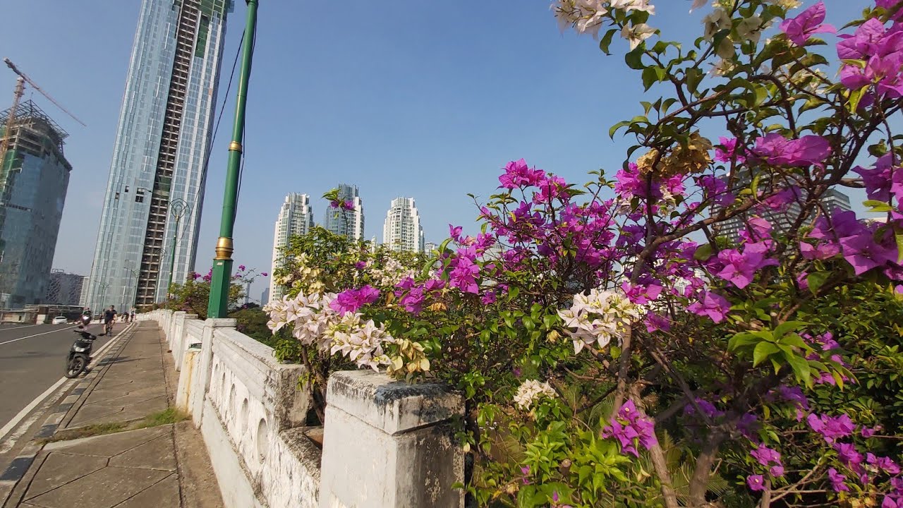 Flora Di Pinggir Jalan, Jakarta Jadi Kota Bunga #flora #jalan #jakarta ...