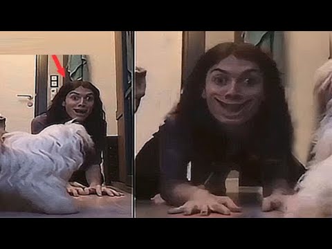 5 Videos de TERROR EXTREMO que NO te Dejarán DORMIR 2024 (VOL. 22)