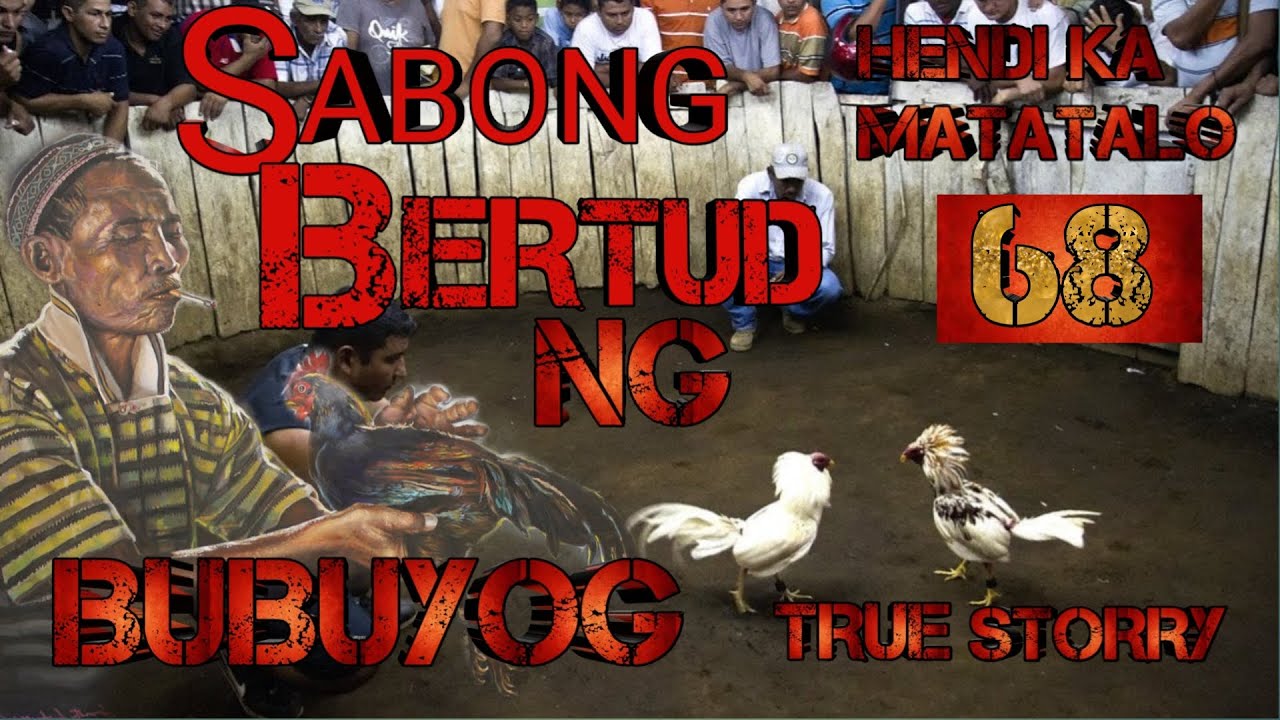 BERTUD NG BUBUYOG NA SECRETO NG MGA MABANGIS NA SABONGERO TRUE STORRY ...