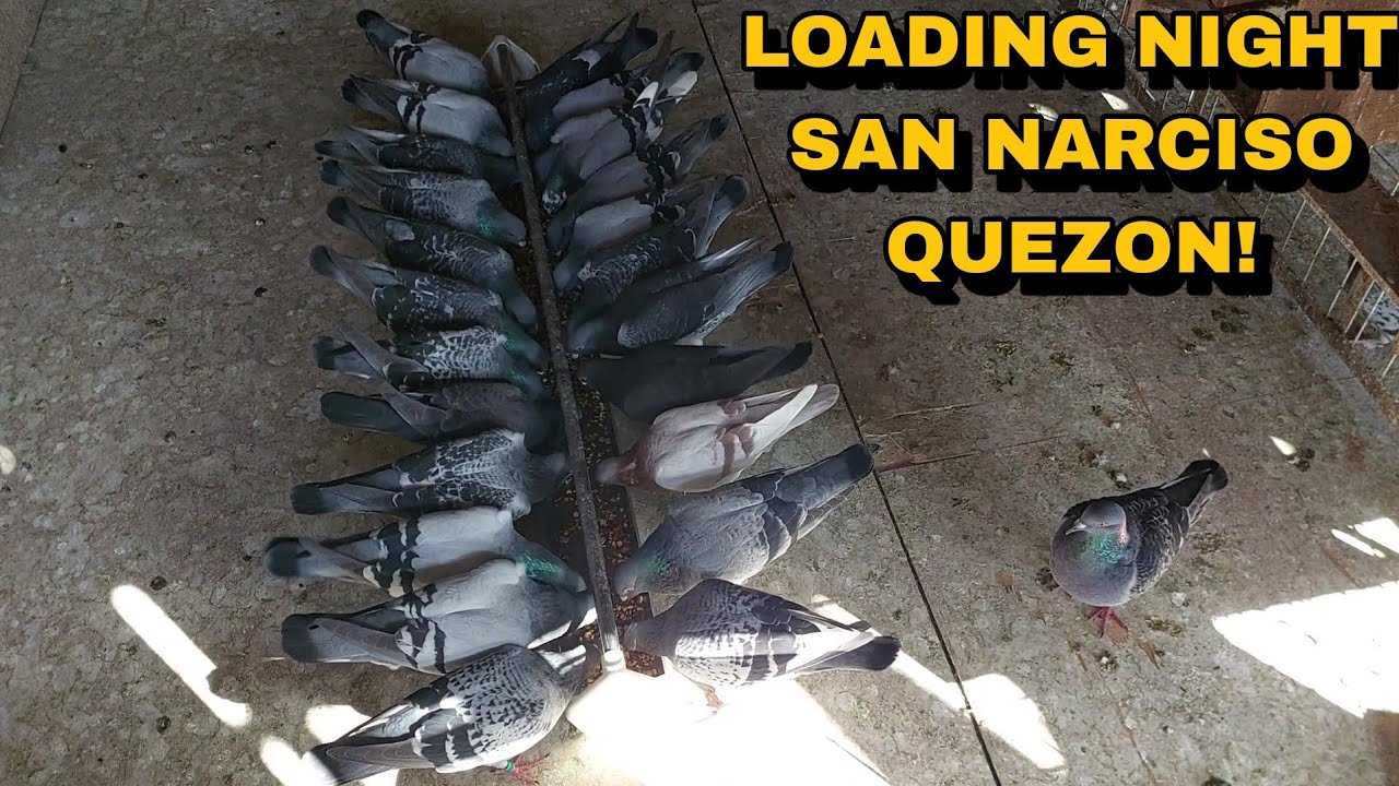 LAST 2 TRAINING NALANG DERBY NA! LOADING NIGHT SAN NARCISO QUEZON!NOBLE ...