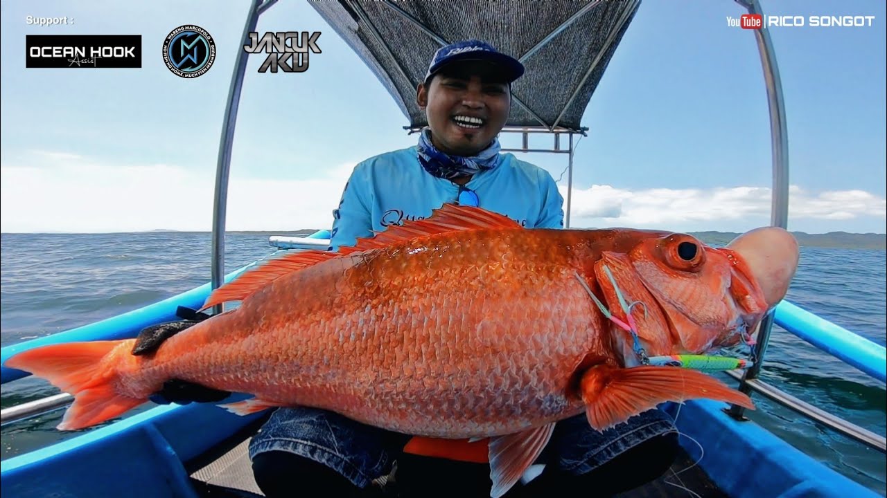 jigging for Grouper and Snapper | biggest Ruby Snapper ‼️#jigging # ...