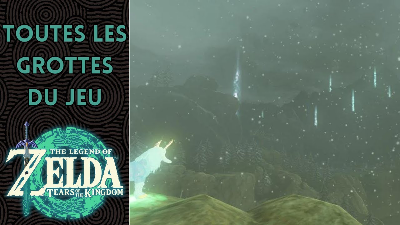 SAVOIR LES EMPLACEMENTS DES GROTTES | ZELDA : TEARS OF THE KINGDOM ...