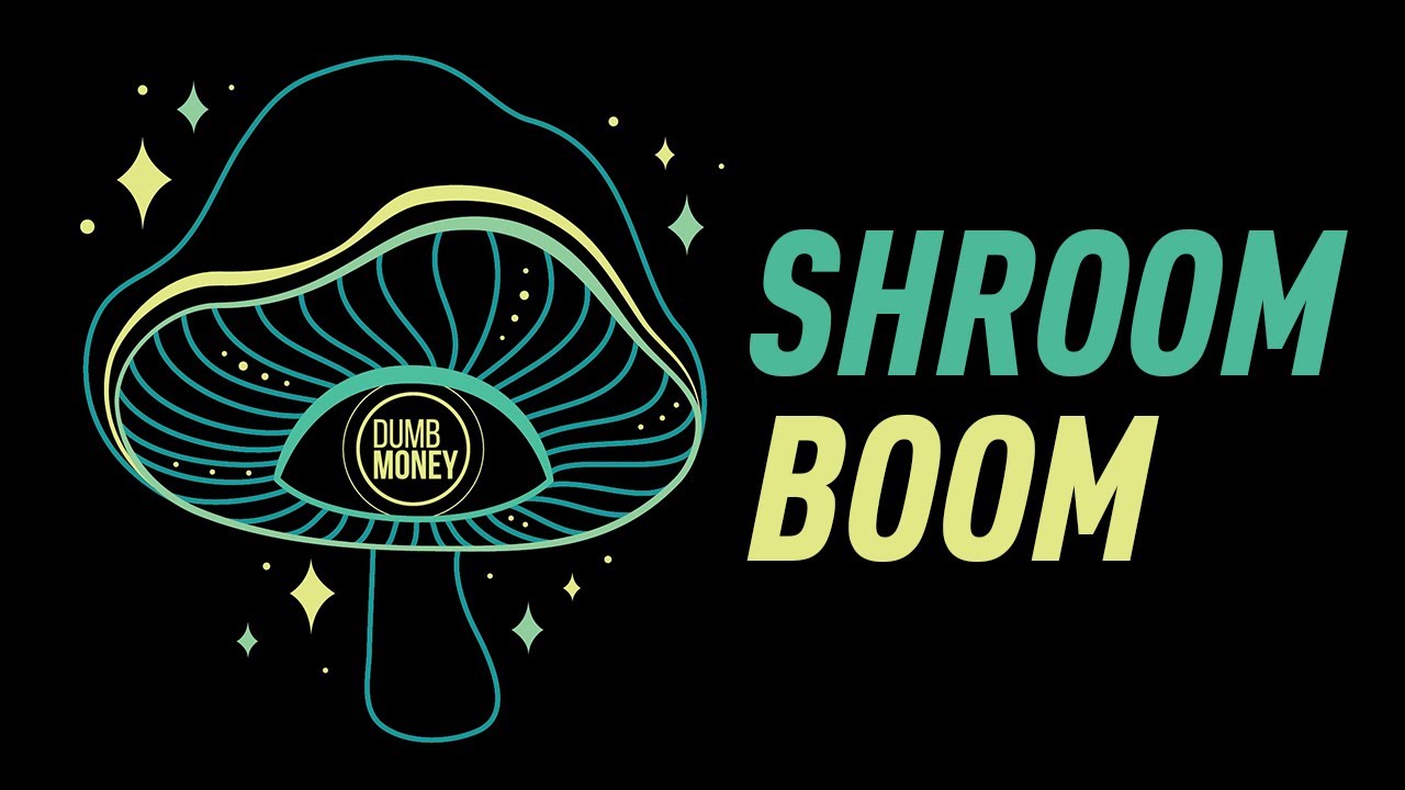 Shroom Boom — The Psychedelic Stocks We’re Buying - YouTube