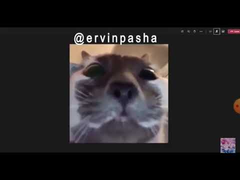 heyvanlar online ders #3