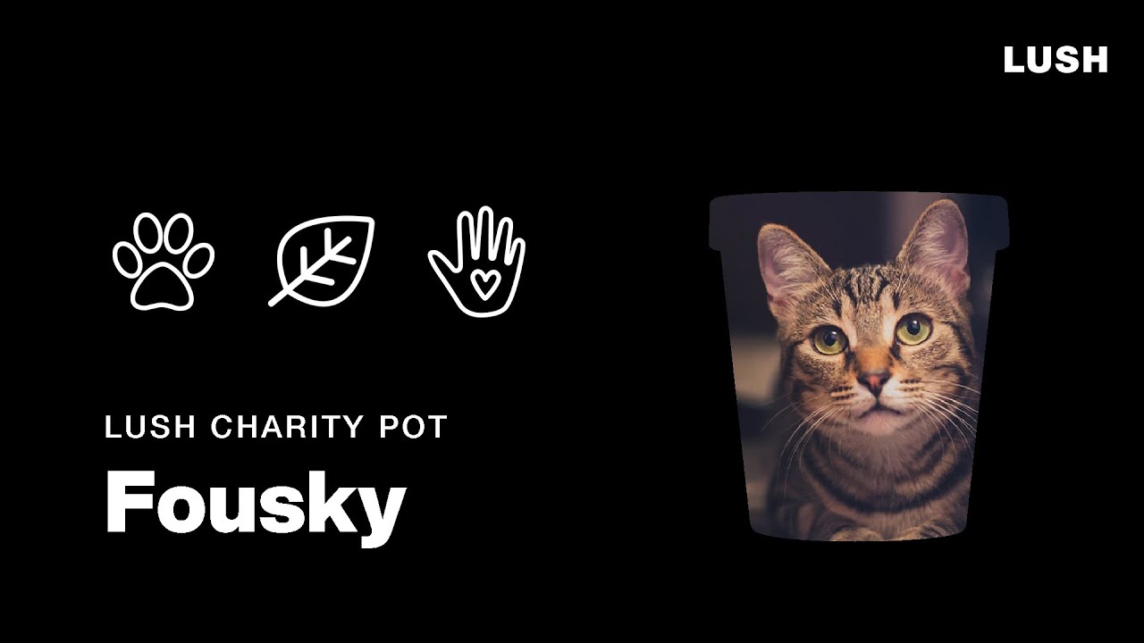 Lush Charity Pot představuje: Fousky 💛 - YouTube