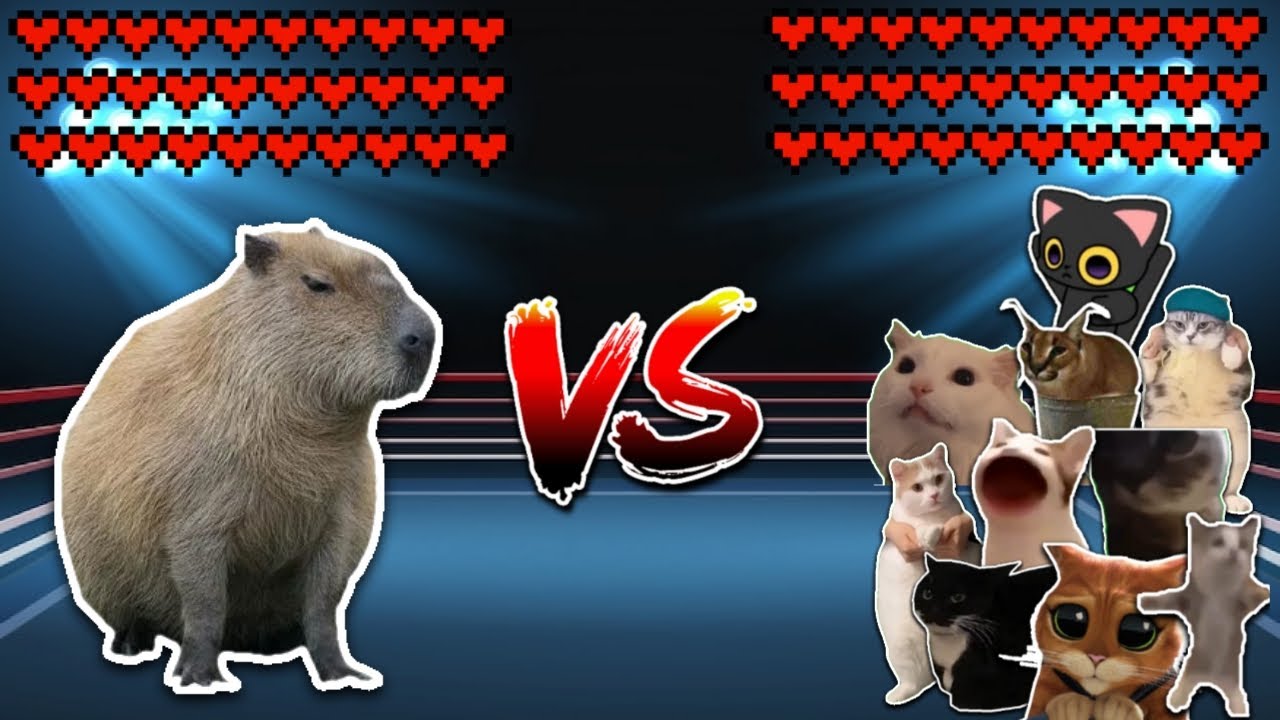 Giant Capybara vs 10 Cats! Meme battle - YouTube