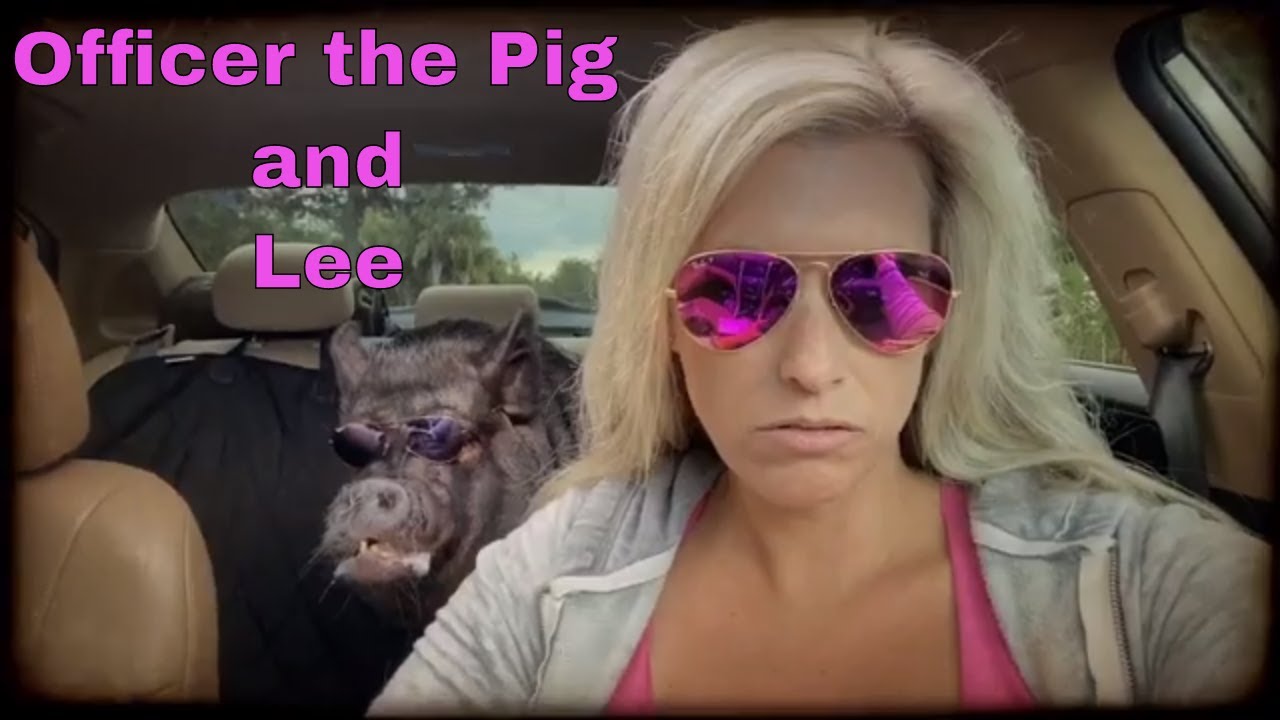 Officer the Pig and Lee: YouTube Subscriber Stakeout (Liberty Mutual ...