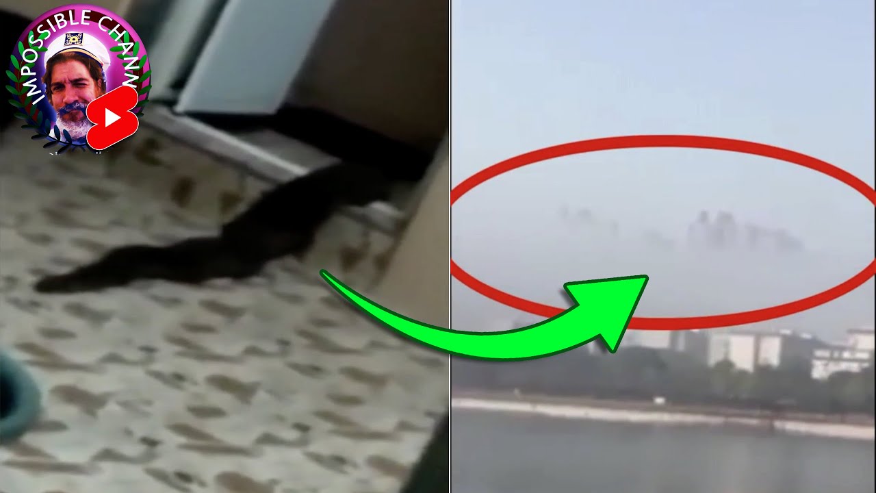 Snake like Creature and Sky Phenomena Caught On Camera - YouTube