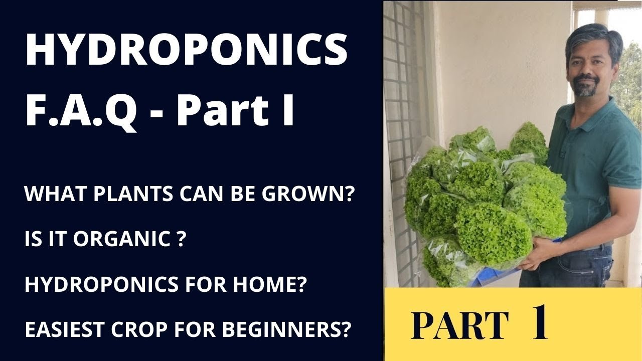 Frequently Asked Questions on Hydroponics - Part 1 - YouTube
