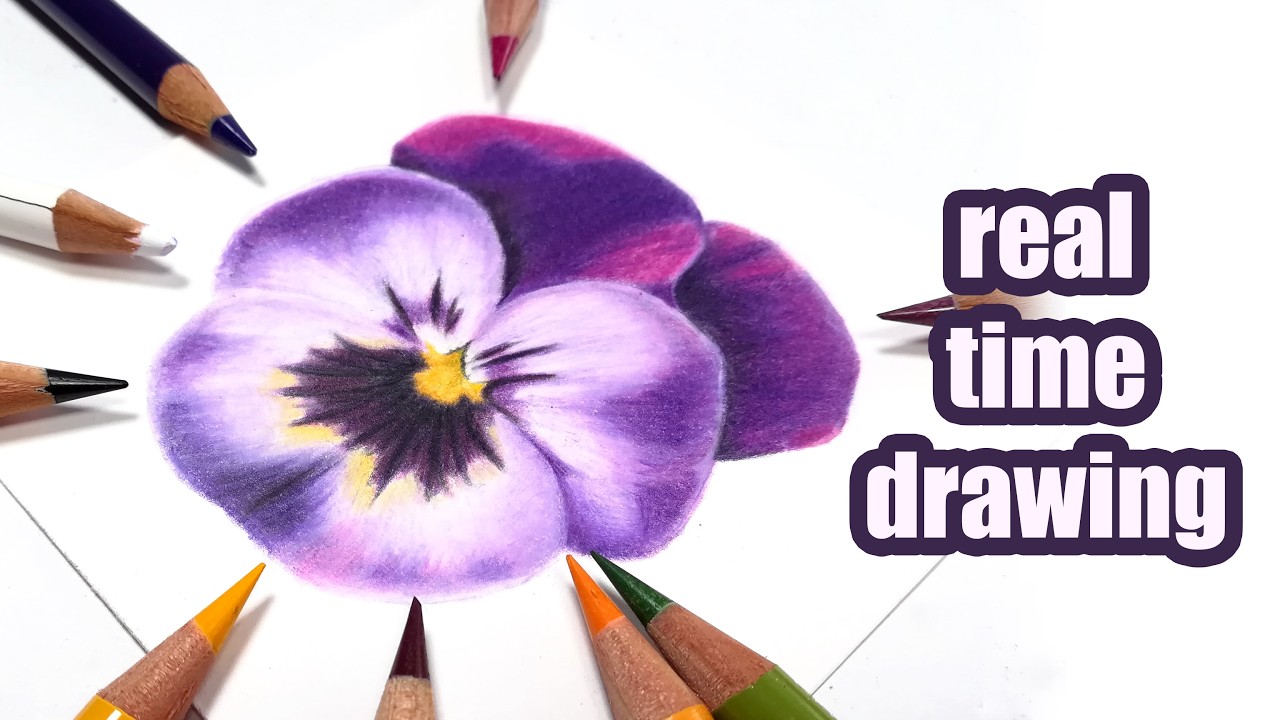 Learn to Draw a PANSY Flower in Under an Hour - YouTube