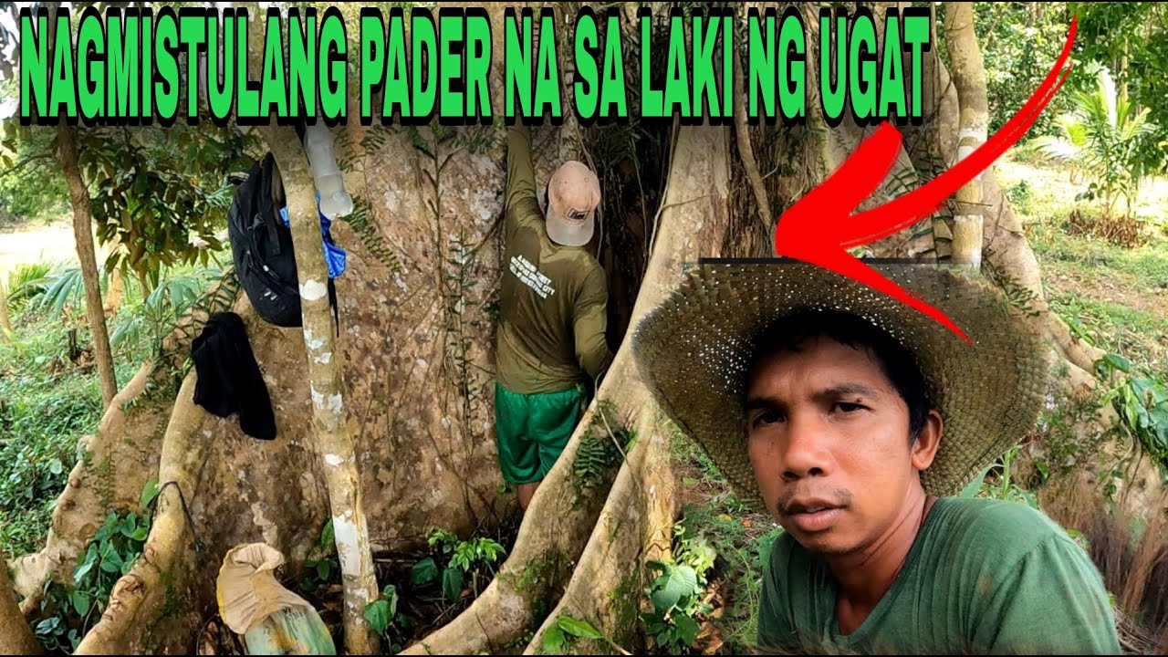 DAMBUHALANG PUNO MISTULANG PADER NG BAHAY ANG LAKI - YouTube
