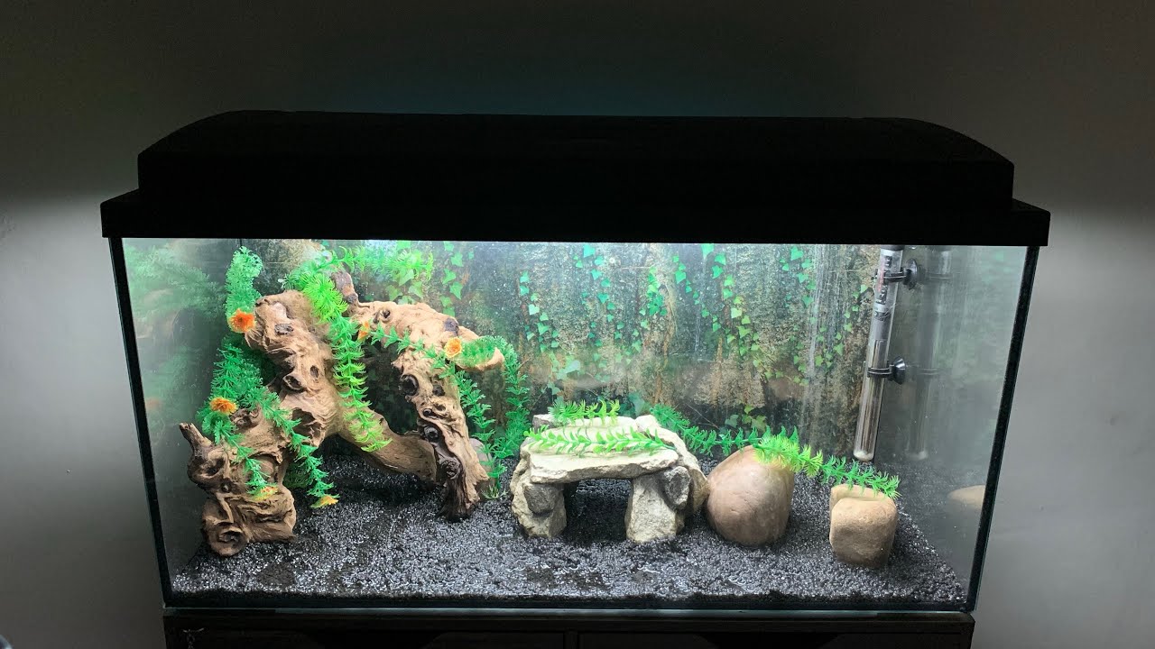 DESIGNING OUR FIRST FISH TANK FOR THE CHANNEL!! VLOG - YouTube