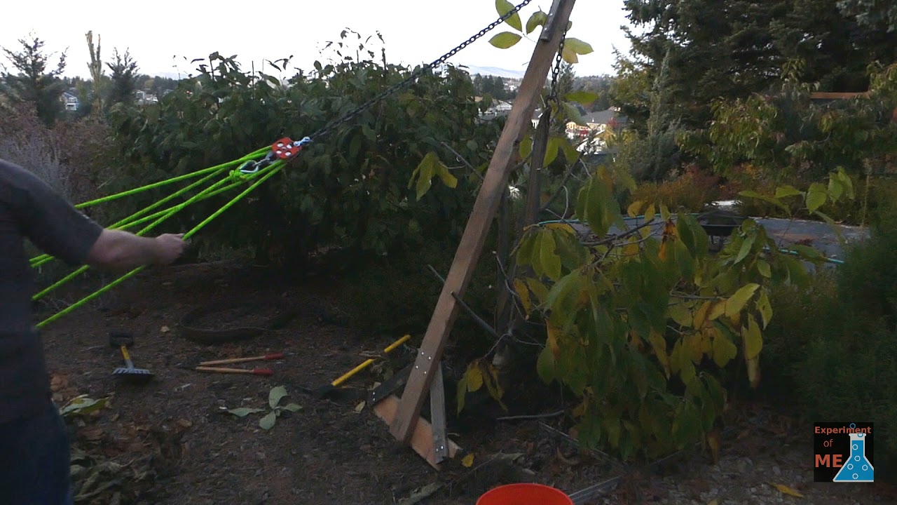 Stump Pulling Lever From Idea to Finished - YouTube