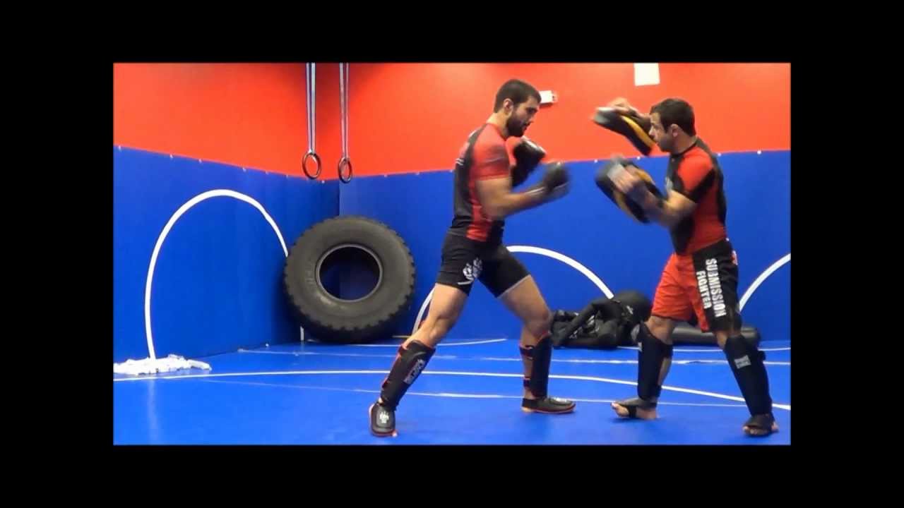 Desert Force Champion Hashem Arkhagha at K Dojo Warrior Tribe MMA - YouTube