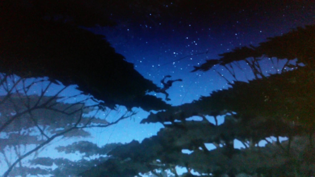 The lion king part 1 - YouTube