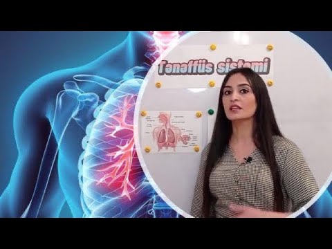 Teneffus hereketleri.Tənəffüs sistemi (teneffus)