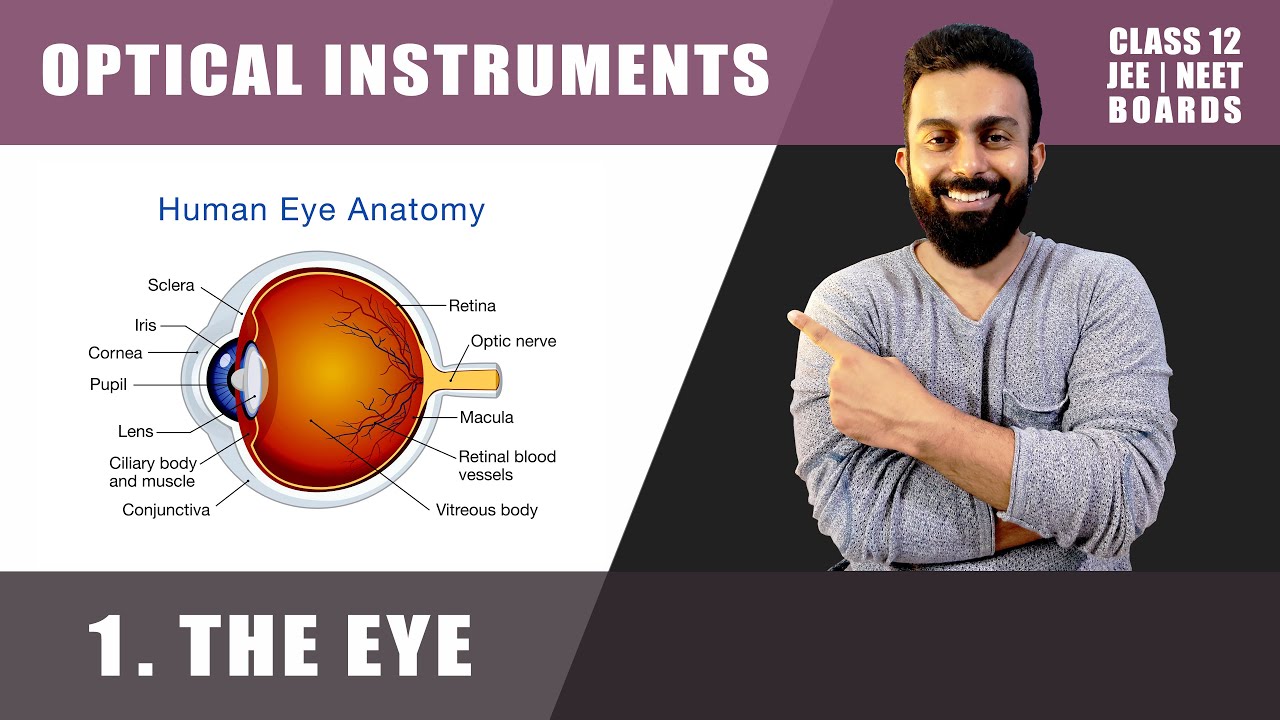 1.The Eye | Optical Instruments - YouTube