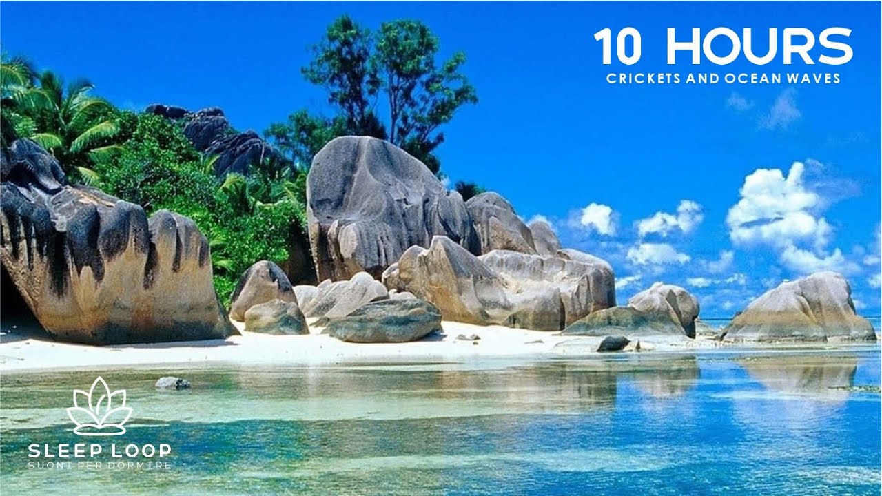 Crickets and Ocean Waves – 10 Hours of Night Nature Sounds for Deep ...