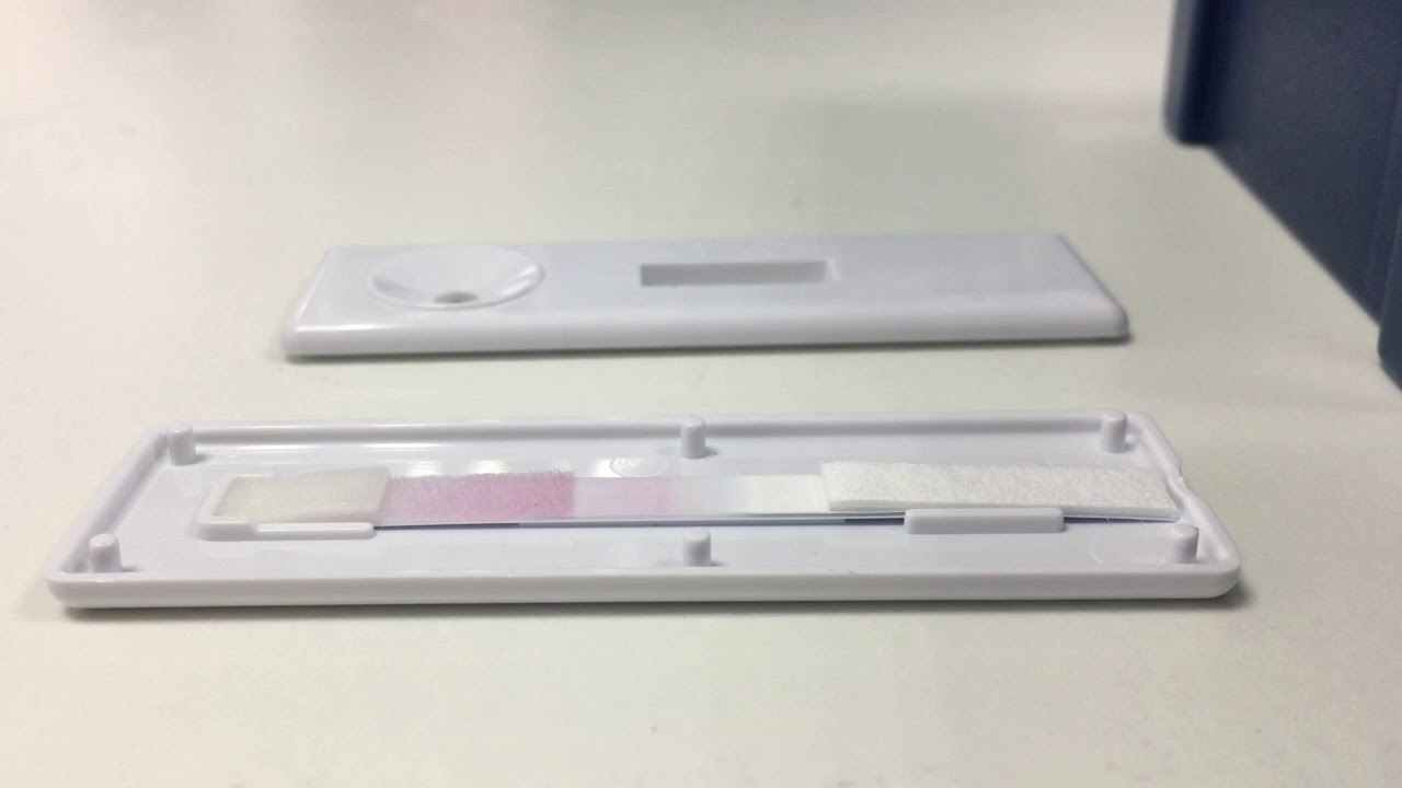 LFA demonstration for detection of HNE-modified proteins - YouTube