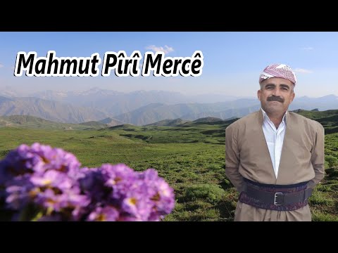 Mahmut Pîrî Mercê