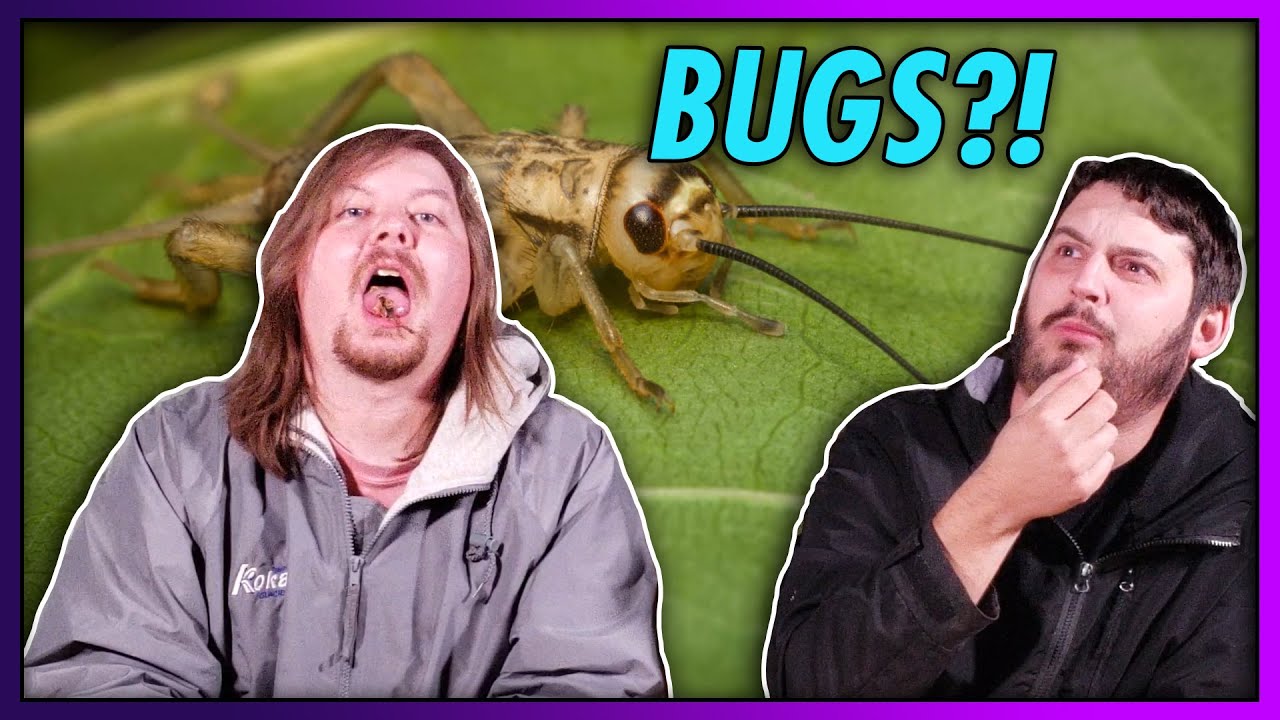 Trying Weird Food | Eating Bugs Novelty Snacks - YouTube