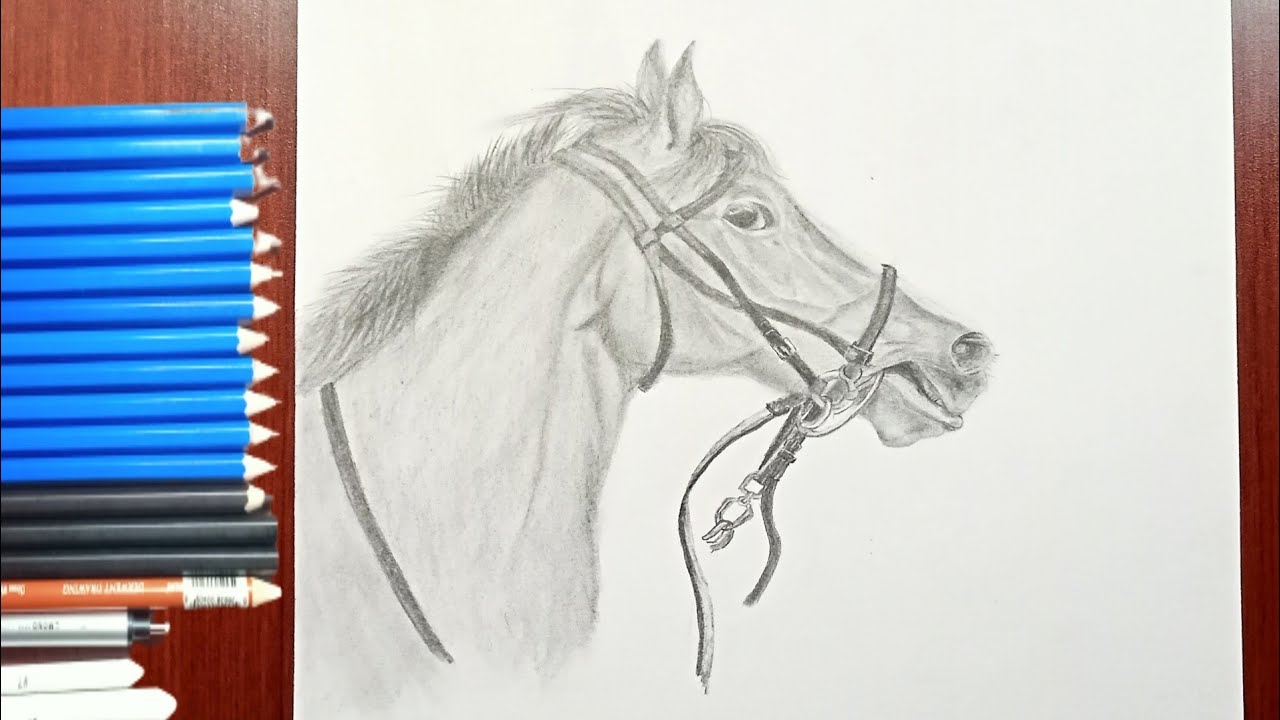 Cara menggambar kuda,nyengir how to draw a horse - YouTube