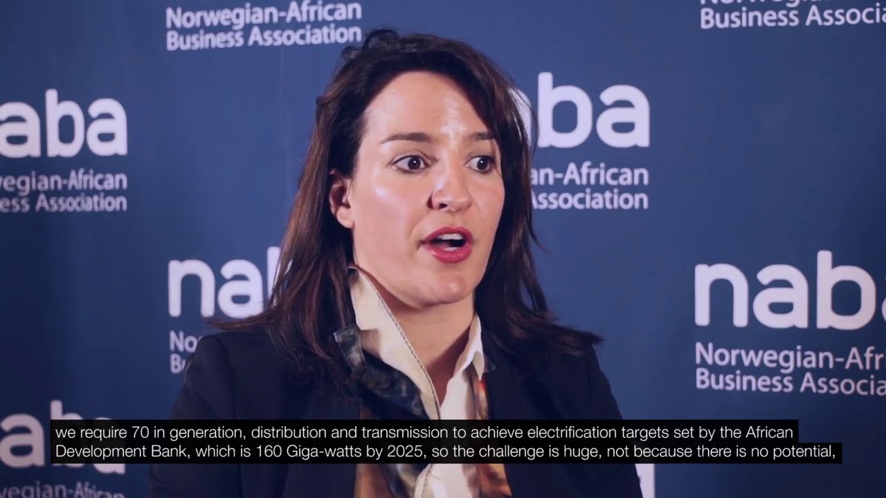 Nordic-African Business Summit 2016 presents: Ms. Ana Hajduka - YouTube