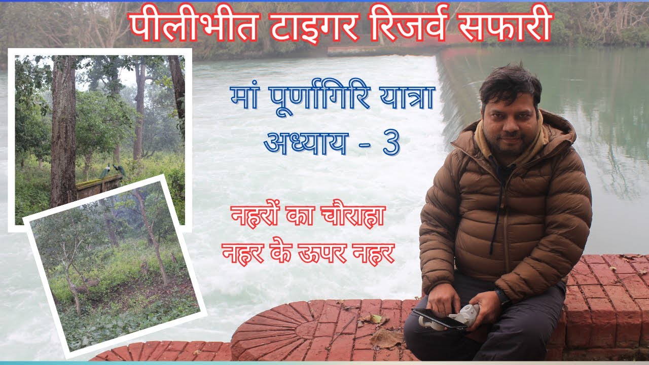 EP 3 - Safari In Pilibhit Tiger Reserve | Points covered in Safari ...