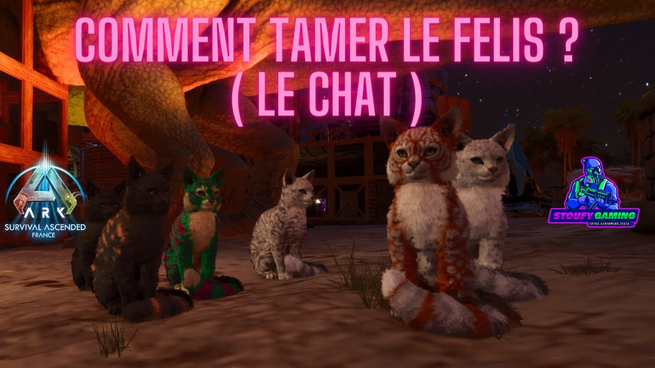 COMMENT TAMER LE FELIS ( LE CHAT ) SUR ARK ASCENDED ? - YouTube