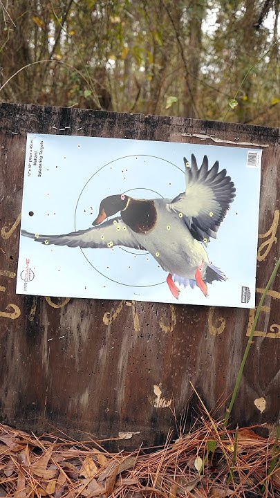 20 gauge Retay + Code Black Duck pattern test - YouTube