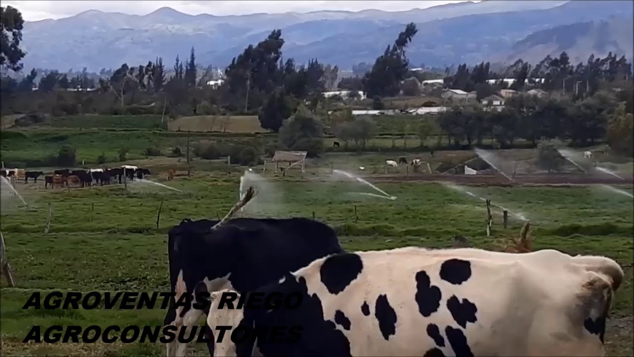 Aspersión - YouTube