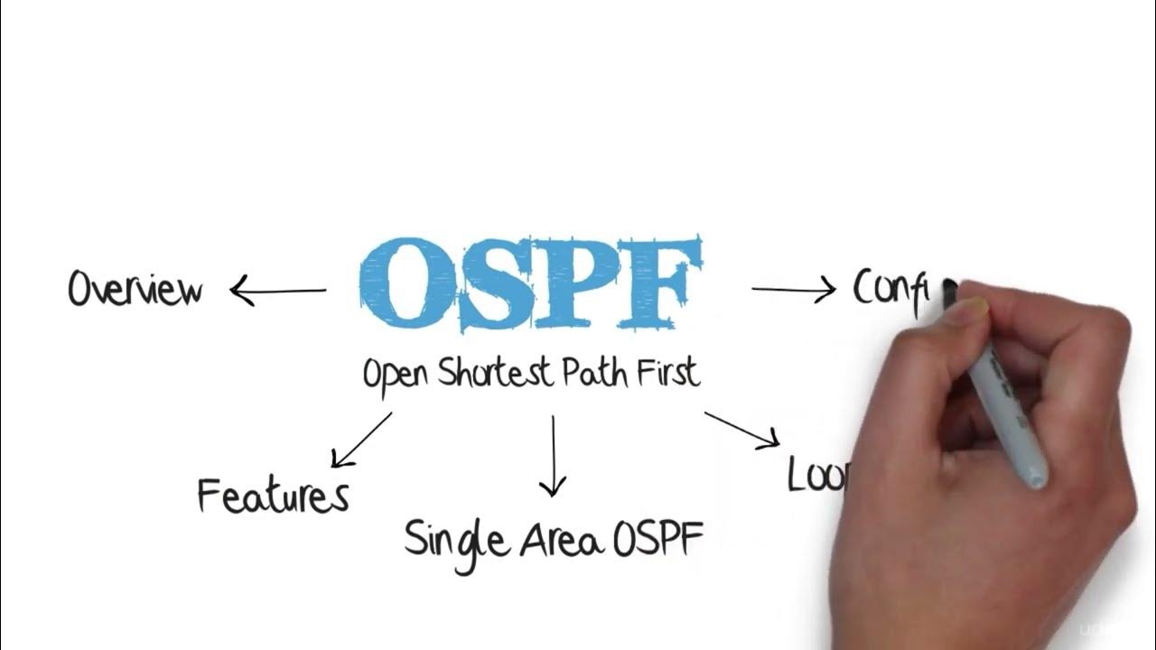 1. ospf - Part 1 basic ( understand OSPF via Animation visual form) #ospf #ccie #cisco - YouTube