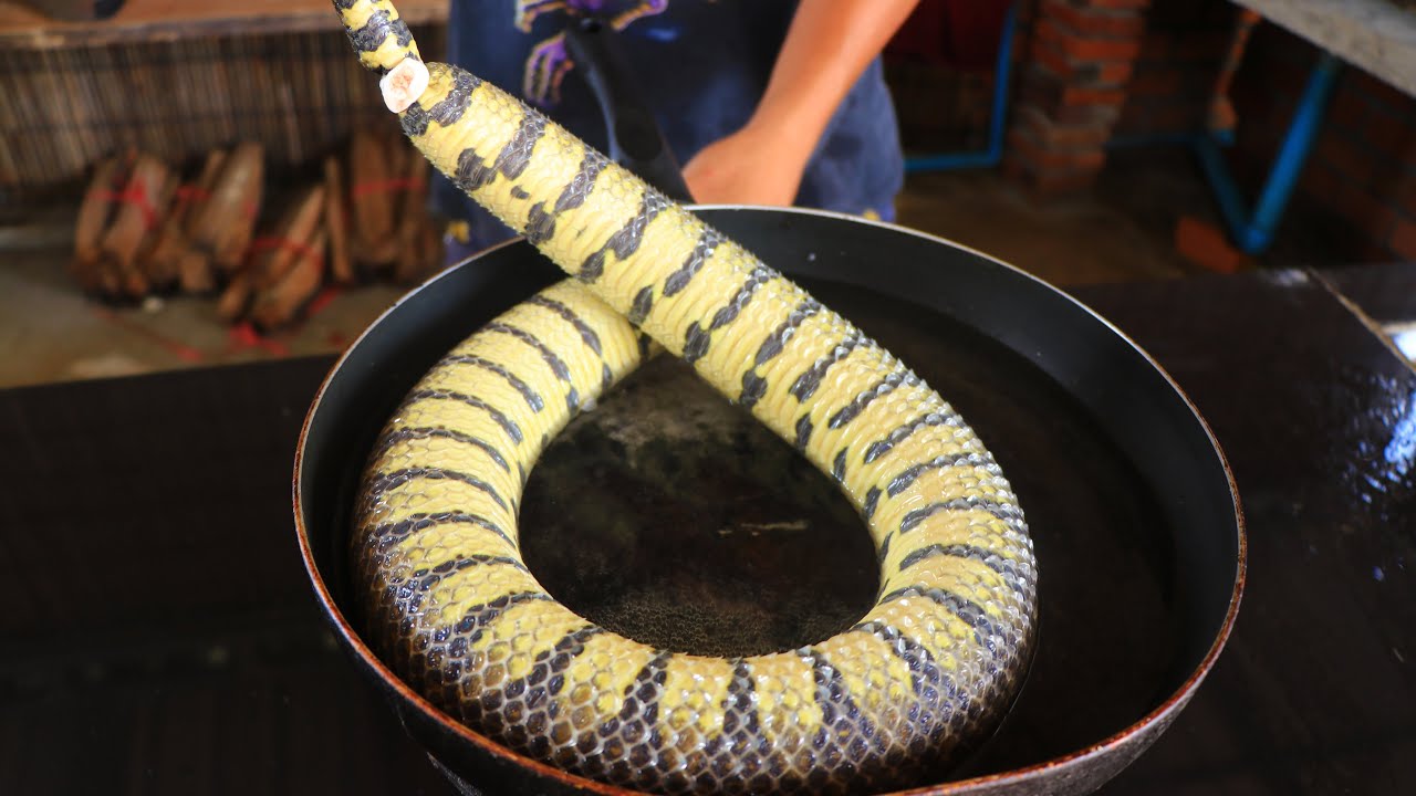 snake Good Food - YouTube