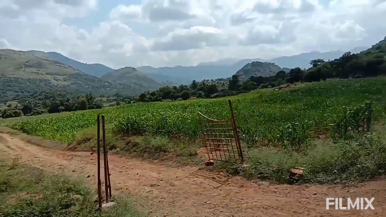 Pachalur Hill from Ottanchatram, Dindukal District...🌳🌴🌱🌻💐🌺🌷🌹🎶🎵 - YouTube