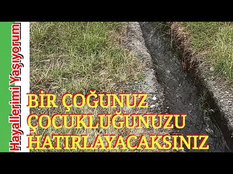 Bahçeler Kolay ve Bedâva Nasıl Sulanır