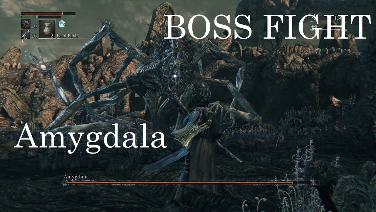 Bloodborne - Amygdala Boss Fight - YouTube
