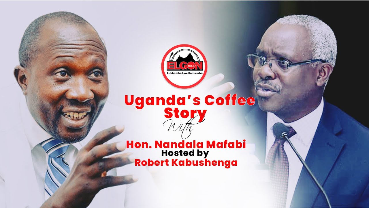 Hon. Nandala Mafabi : Address UCDA Weaknesses, Don't Dismantle - YouTube