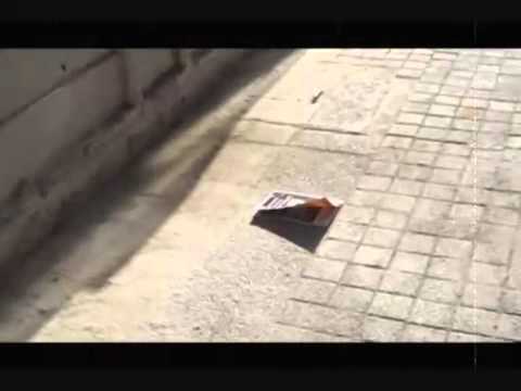 Gençleri Birbirinden Ayırmayın!