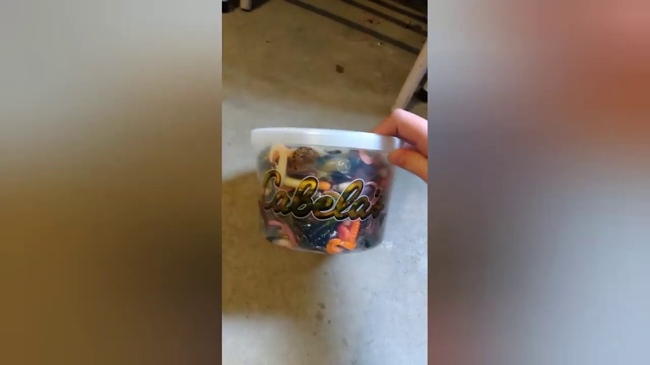 Cabela's big bass bucket - YouTube