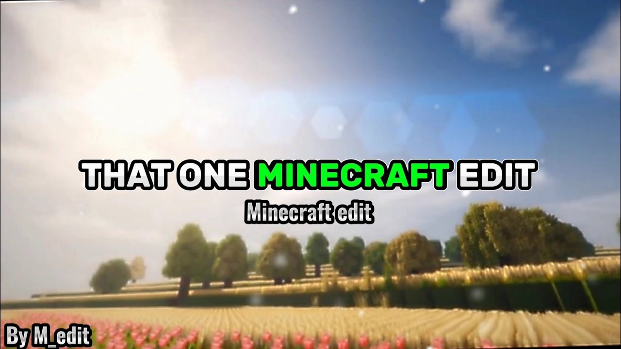 That one Minecraft edit | simpson wave 1995 | 4k edit - YouTube
