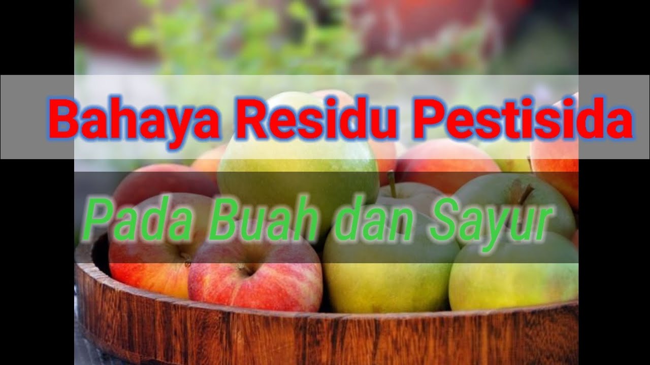 Bahaya Residu Pestisida pada Buah dan Sayur - YouTube