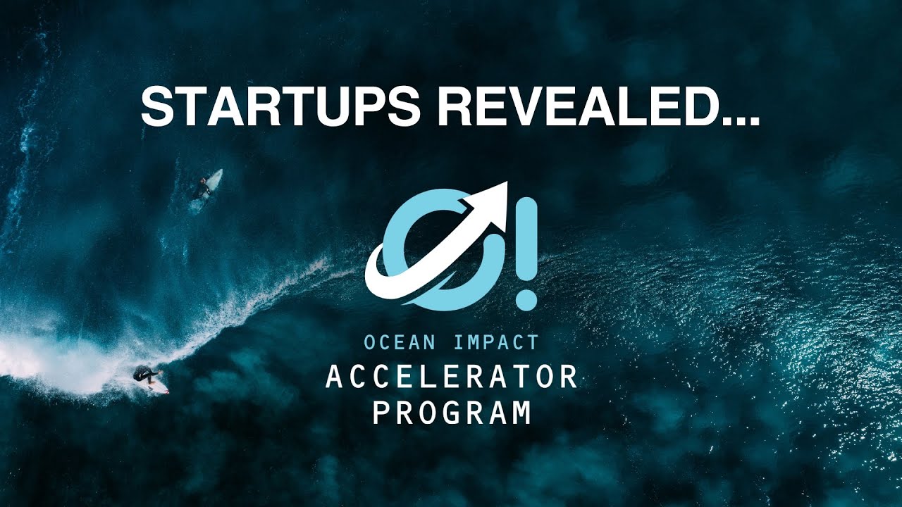 Revealing Ocean Impact Organisation’s Third Accelerator Cohort ...