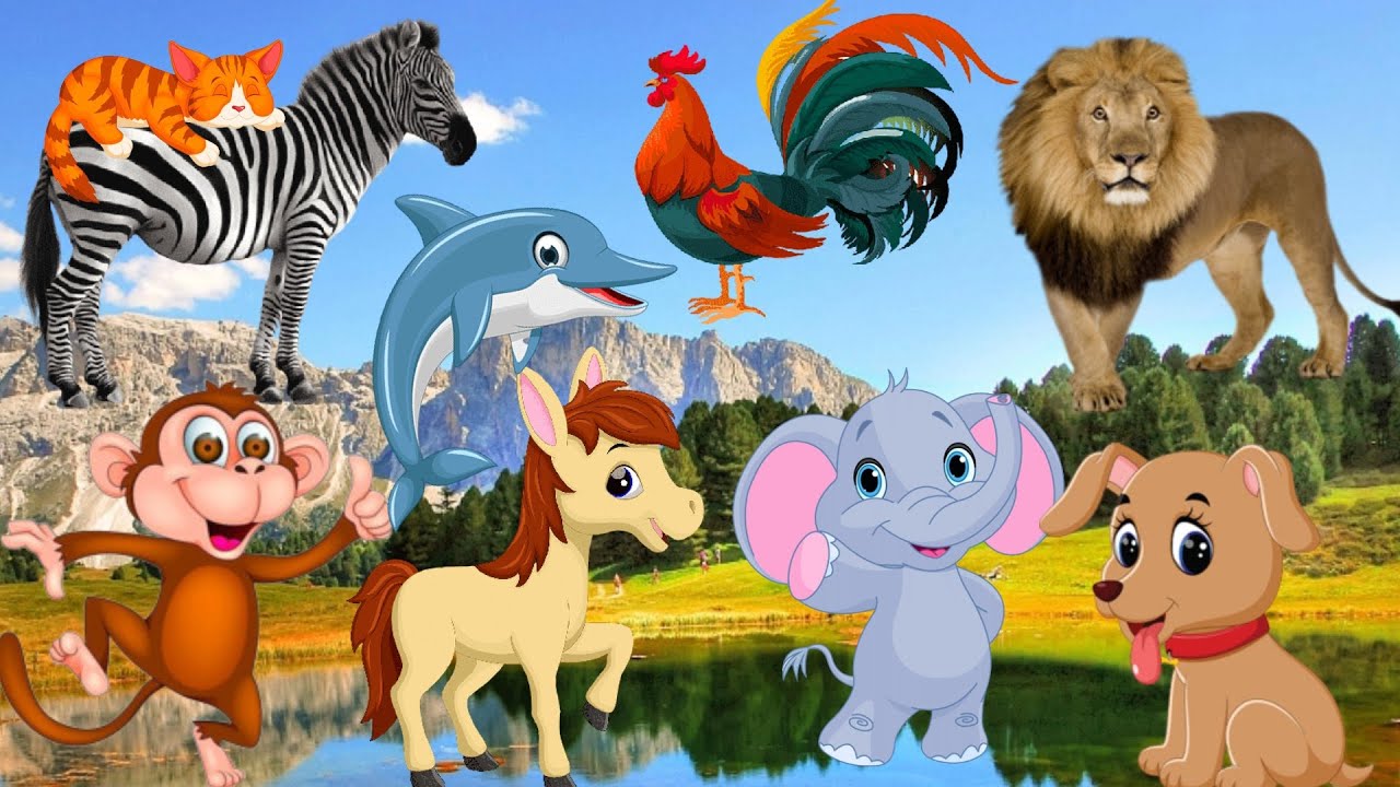 CUTE ANIMALS : horse zebra elephant dog cow seal pig sheep giraffe ...