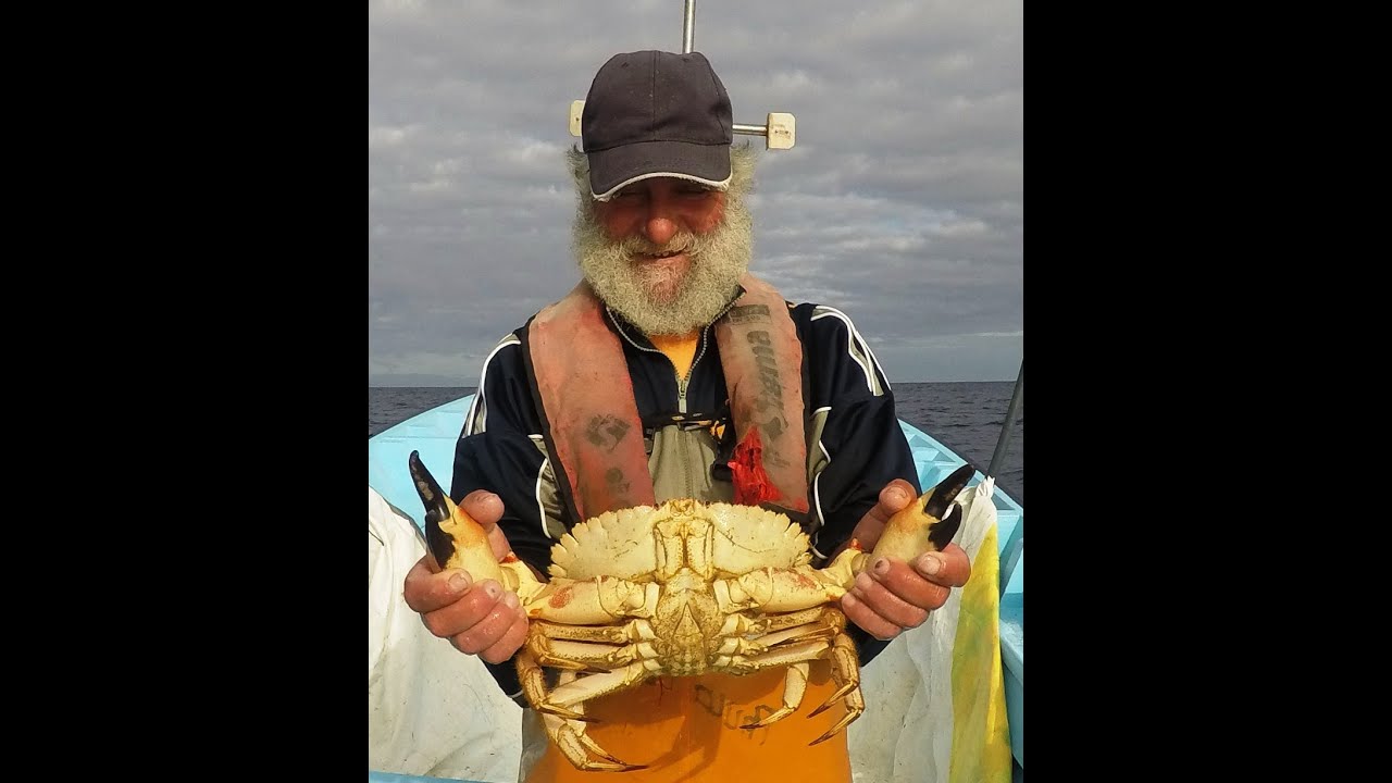 Pesca Açores Fishing Toothed rock crab / Pesca Sapateira, カニの釣り 蟹漁 صيد ...