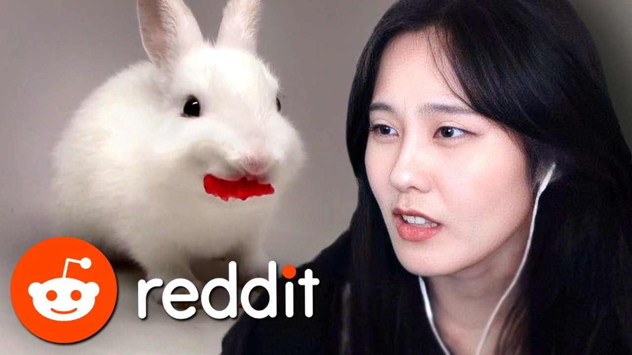 39daph Reacts to Reddit #43 - YouTube